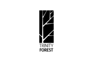 Trinity Forest | Jim Allen Group